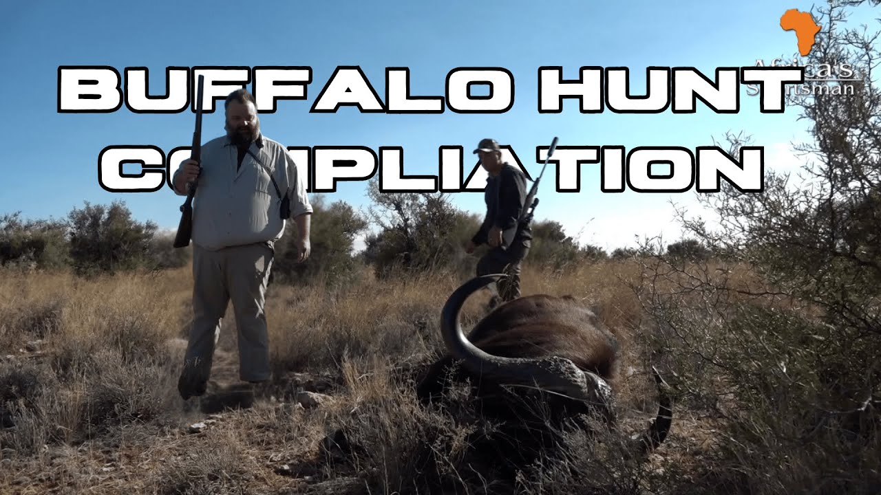 Buffalo Compilation Promo - YouTube