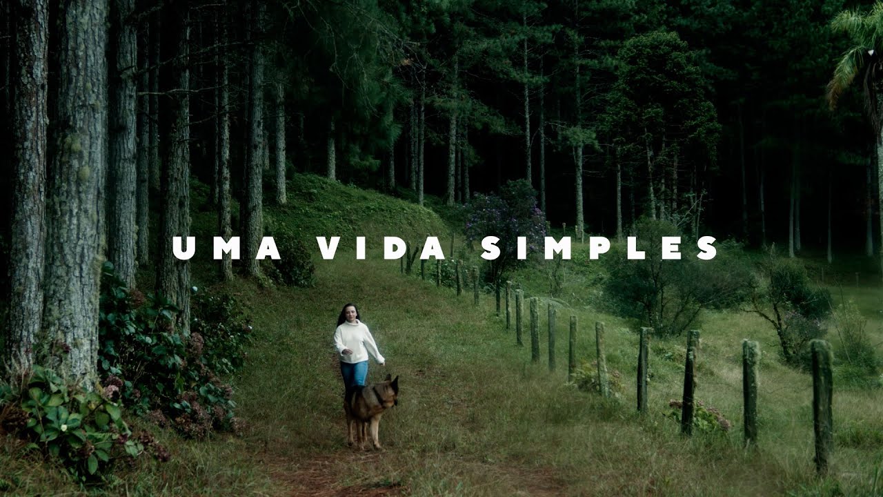 Uma vida simples | vlog - YouTube