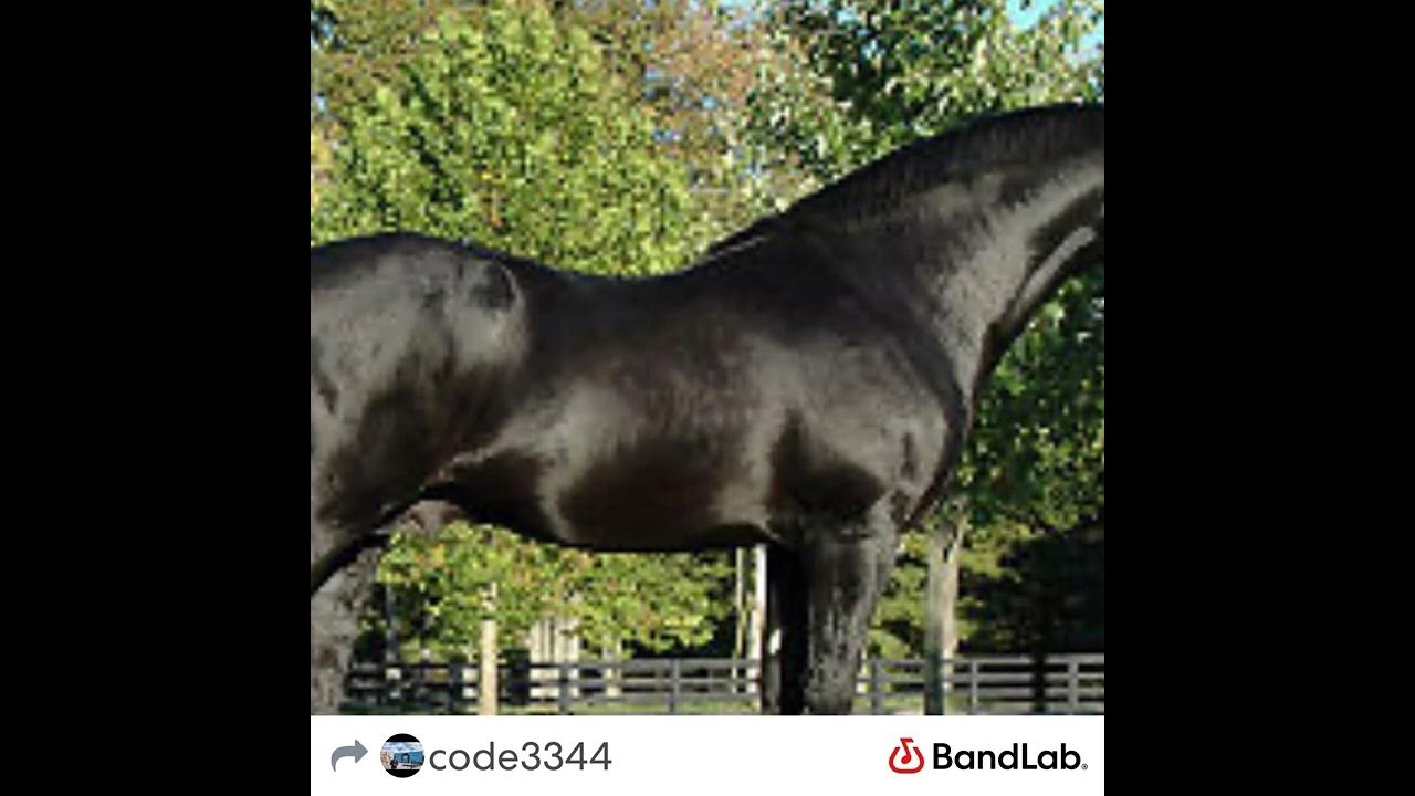 Code--- the horse you rode in on - YouTube
