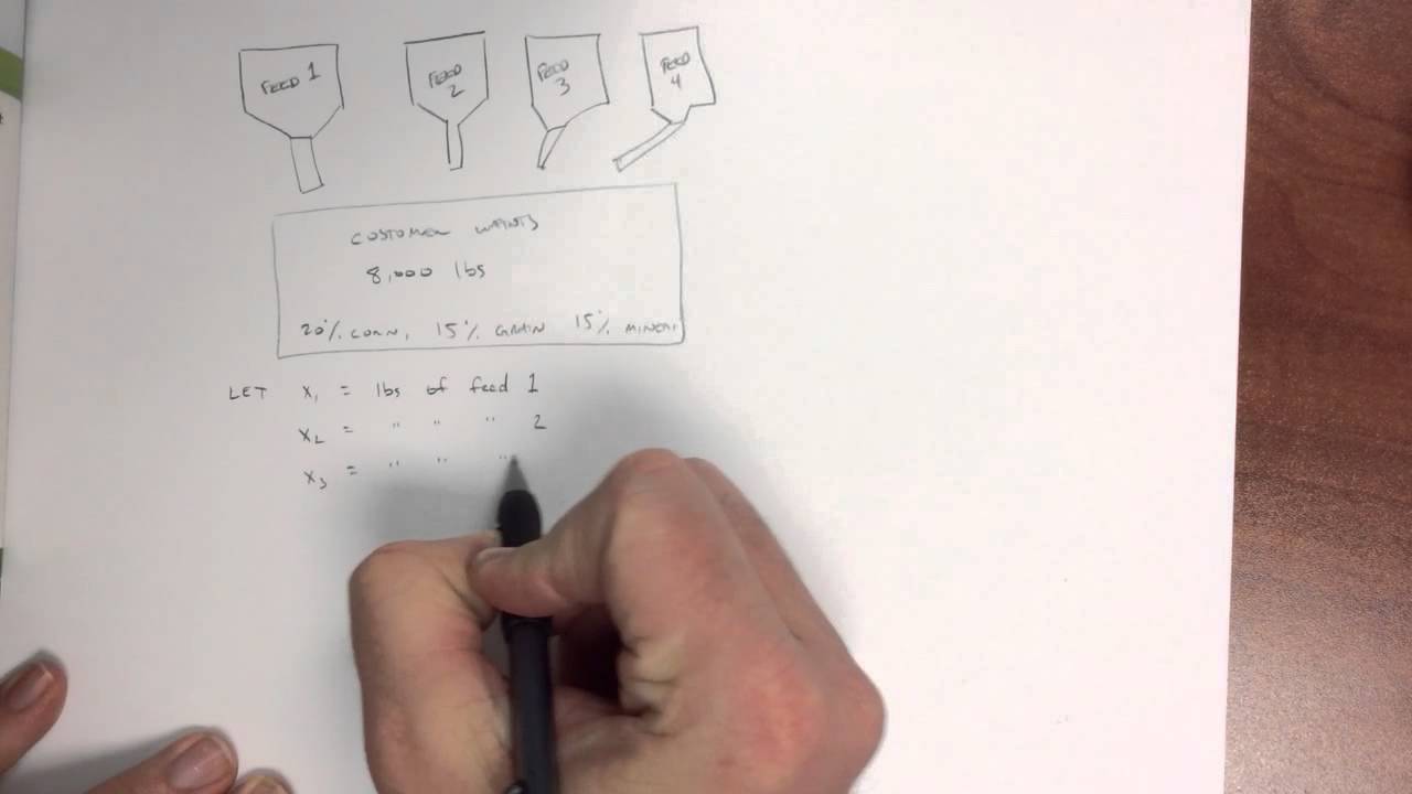 Chapter 4.4 Example LP 6 - set up LP - YouTube