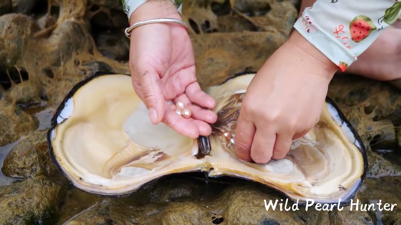 Such a beautiful river, beautiful mussels, beautiful pearls - YouTube