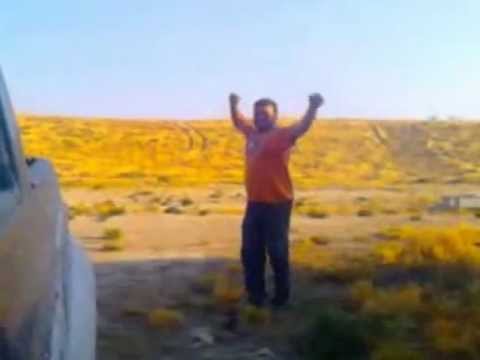 gangam sarıoba style