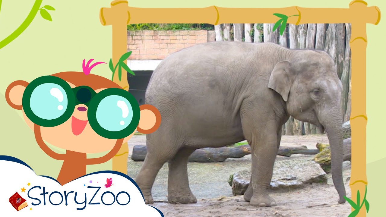 StoryZoo | StoryZoo op avontuur in de Dierentuin - Olifant ...