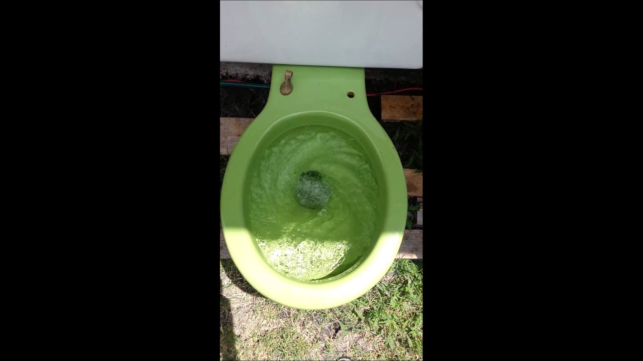 Flushing Green Kohler Wellworth Toilet - YouTube