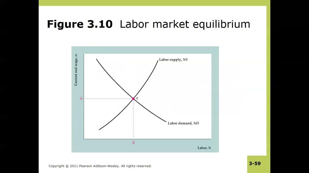 labor Market equilibrium - YouTube