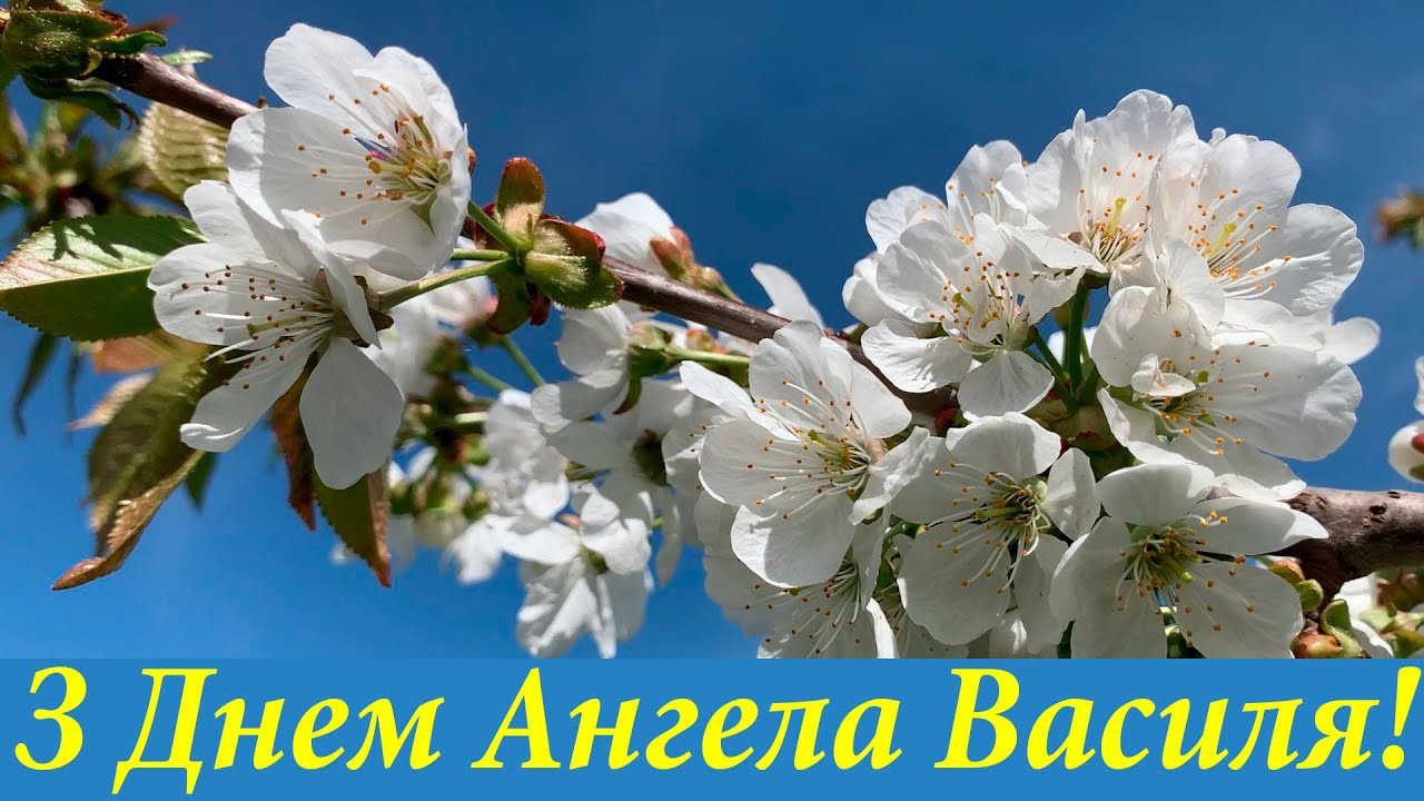 Вітаю з Василем Привтіання з Святом Василя Привітання з Днем Ангела