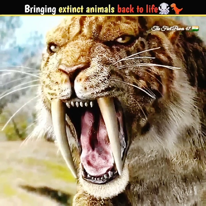Bringing Extinct animals that back in life🦕🦖|#shorts|factsxplorer - YouTube