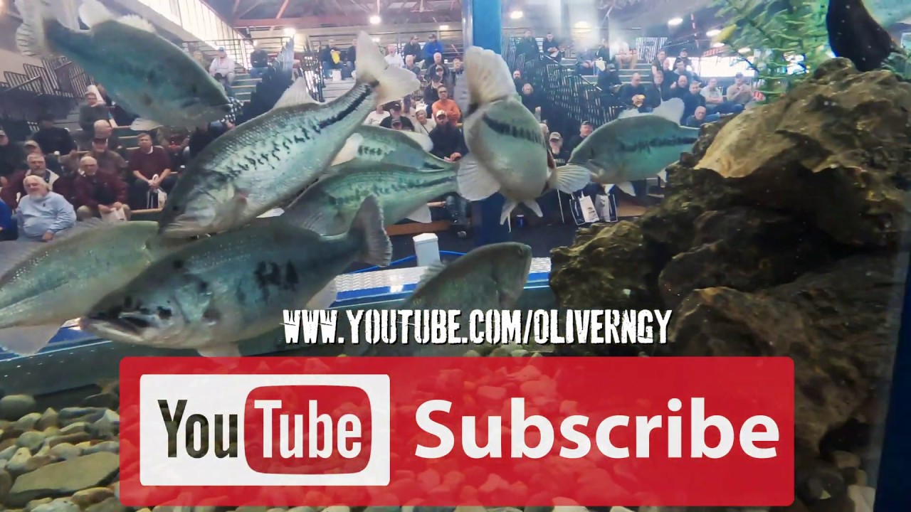 Suffern Fishing Show 2020 Seminar 2 with Oliver Ngy - YouTube