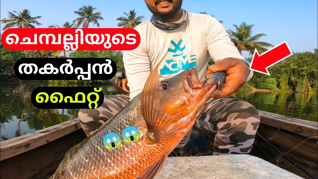 പുഴയിലെ അപകടകാരിയായ മീൻ... ️| Mangrovejack Fishing | chempalli Fishing ...