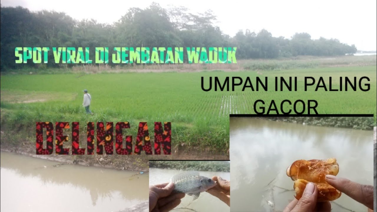spot mancing yang lagi viral di waduk delingan karanganyar - YouTube