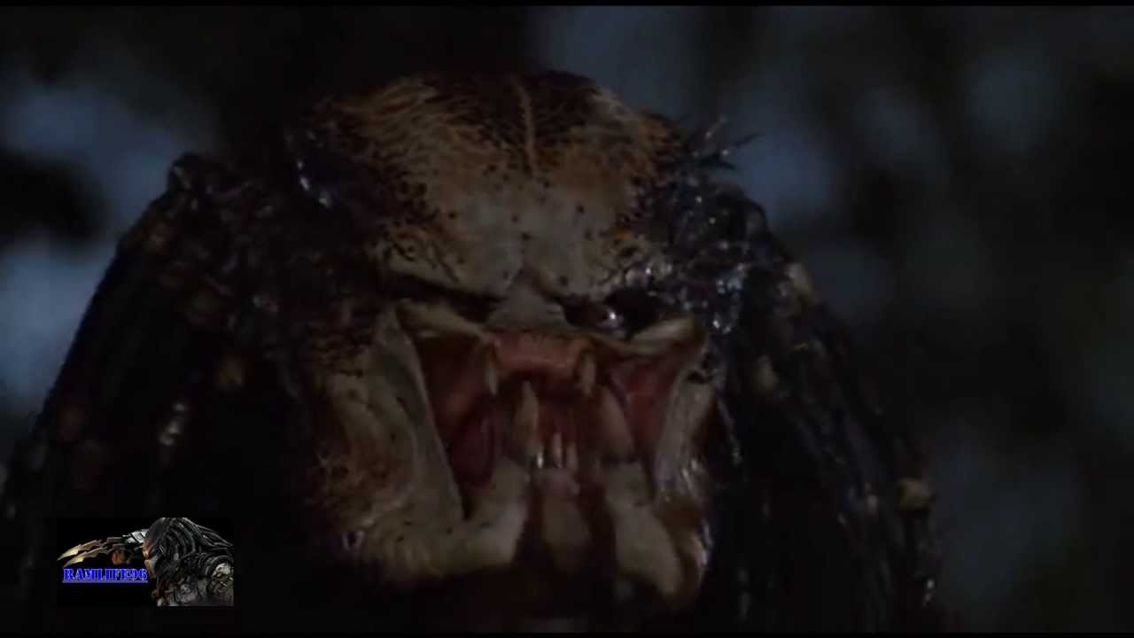 predator - Little Richard - Long Tall Sally "MV" - YouTube