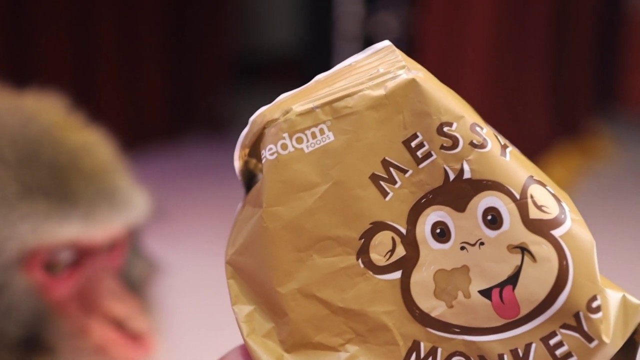 Messy Monkey Ponchan eats Messy Monkeys. - YouTube