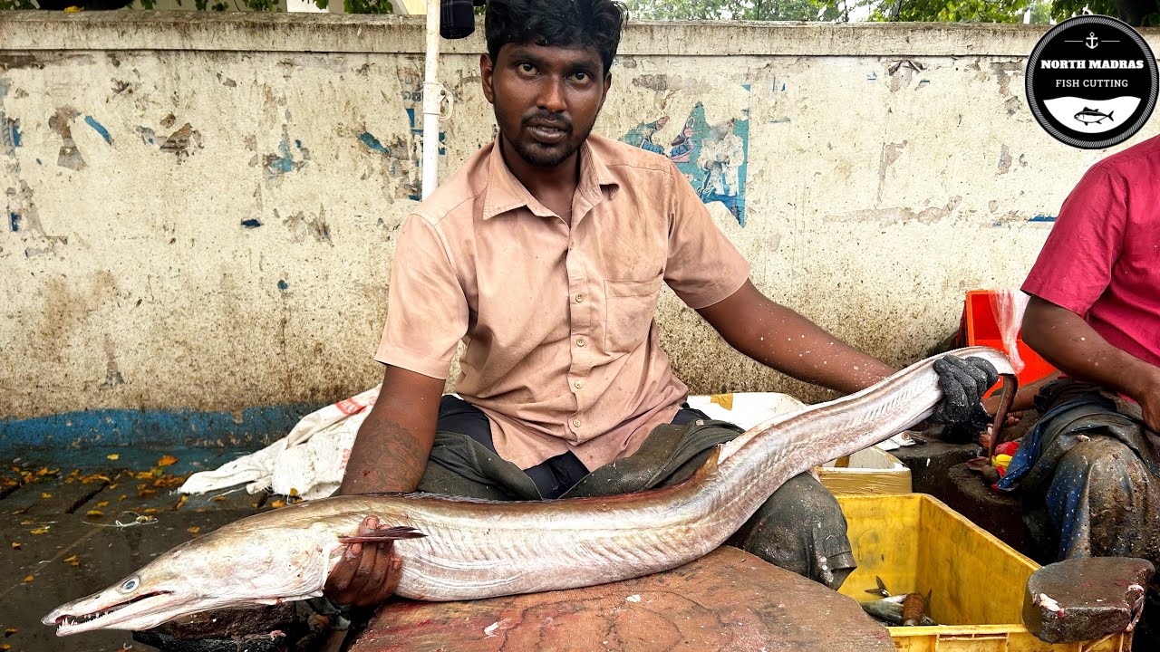 🤯🔪KADAL ARAA FISH |KASIMEDU EXPERT FISH CUTTER 🔪 MASS CUTTING SKILLS # ...