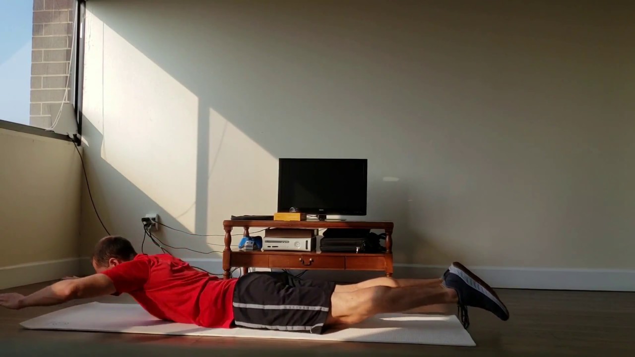 Sea turtle extensions - YouTube