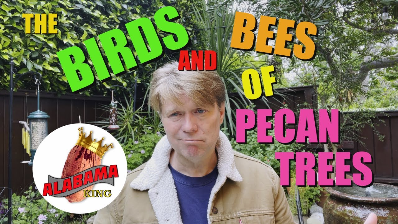 The Birds and Bees of the Pecan Trees 🐝🌰 | Pollination Charts for ...