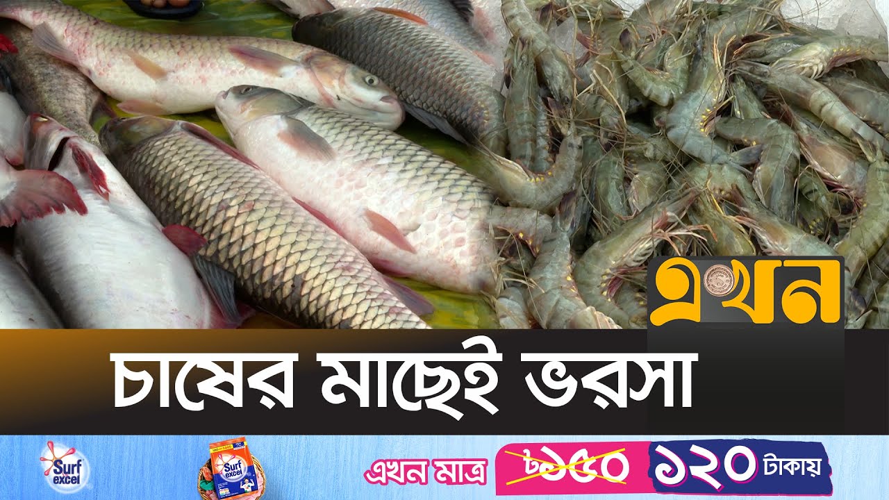 সাগরে মাছ ধরায় নিষেধাজ্ঞার প্রভাব বাজারে! | Sea Fish Price ...