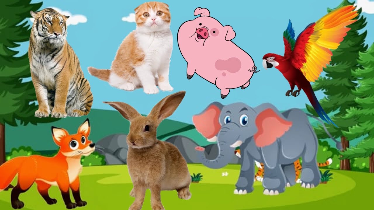 Come on kids let's get to know the animals around us cat, horse, zebra ...