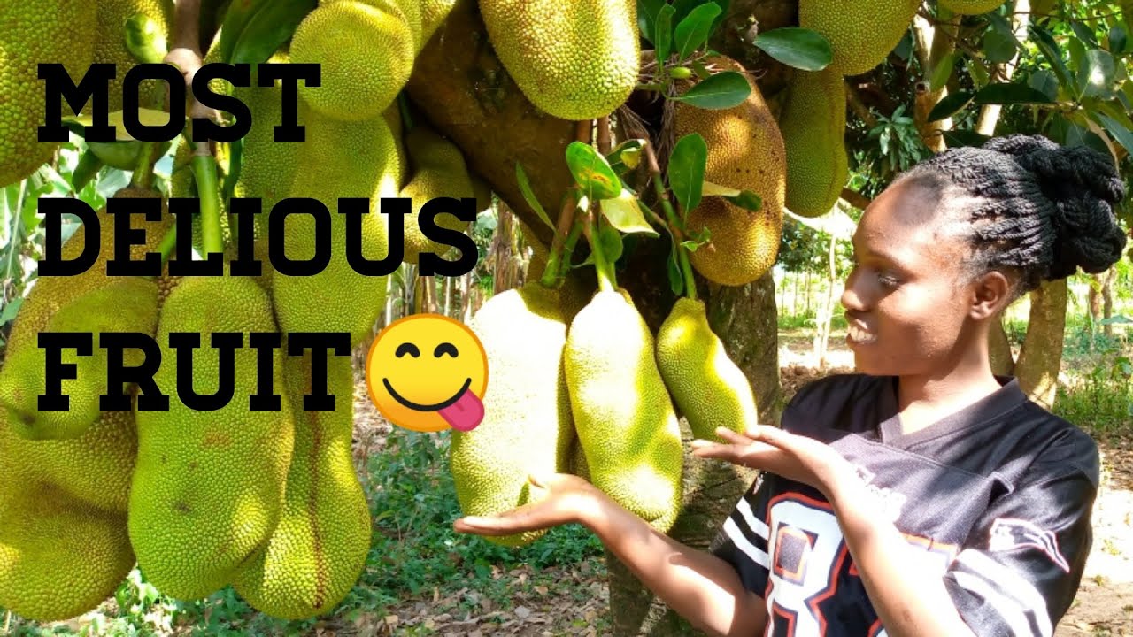 Country Life: Eating Most Delicious Fruit In East Africa - YouTube