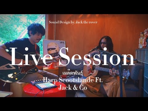 เมล็ดพันธุ์ - Scootslande Live Session Ft. Jack & Co - YouTube