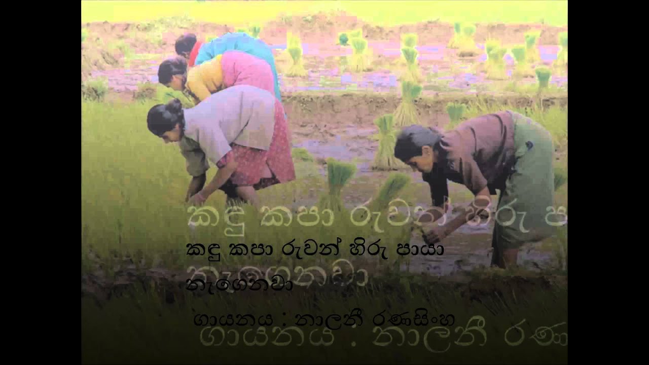 Kandu Kapa ruwan hiru paya nagenawa by Nalani Ranasinghe - YouTube