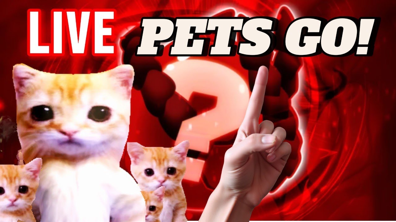 LIVE 🔴 PETS GO! LIVESTREAM | ROBLOX PETS GO! FUN #petsgo #roblox #live #robux #petsimulator ...