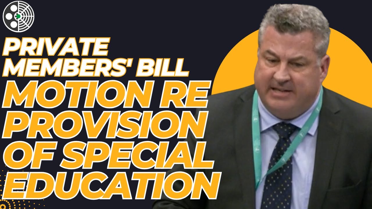 Deputy George Lawlor- speech from 18 Feb 2025 - YouTube