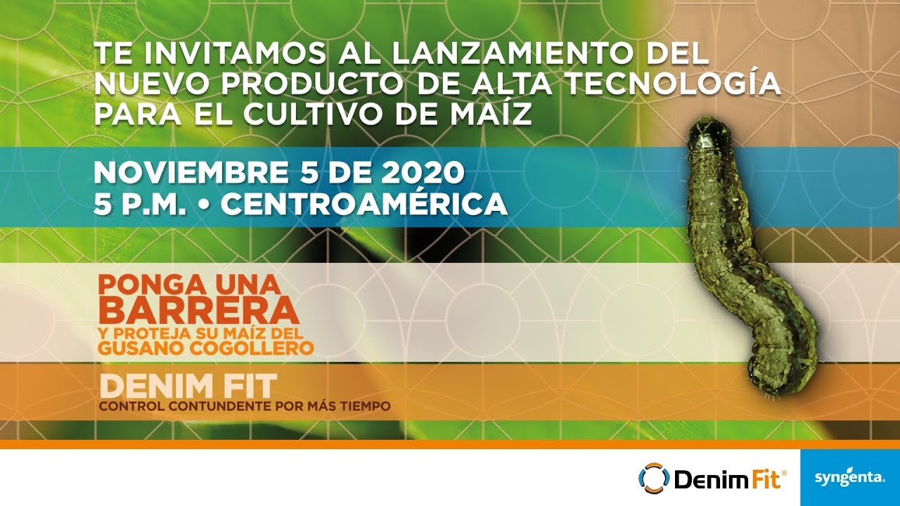 SYNGENTA - LANZAMIENTO DENIM FIT - MAÍZ - (GUATEMALA - EL SALVADOR ...