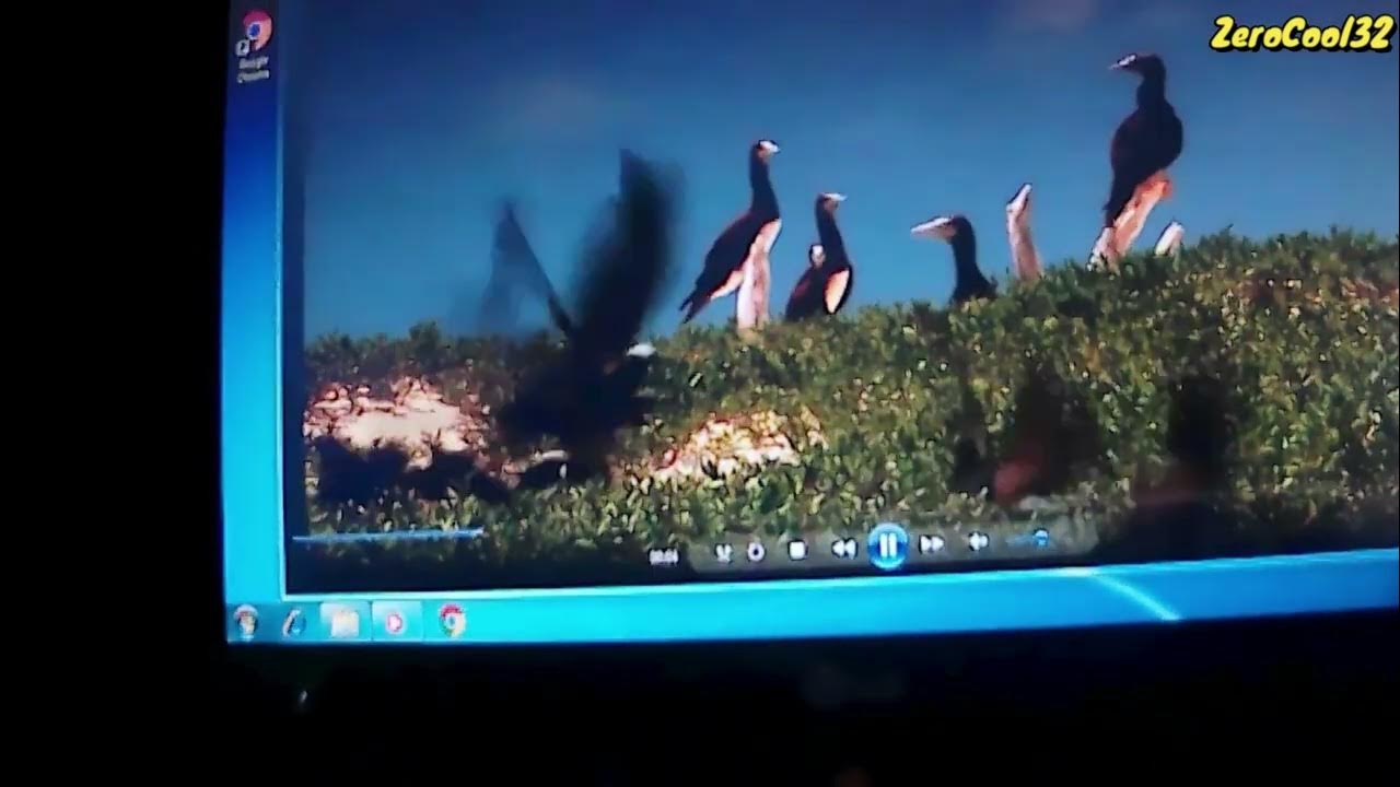 Attempt to reset the display driver and recover from timeout failed. - YouTube