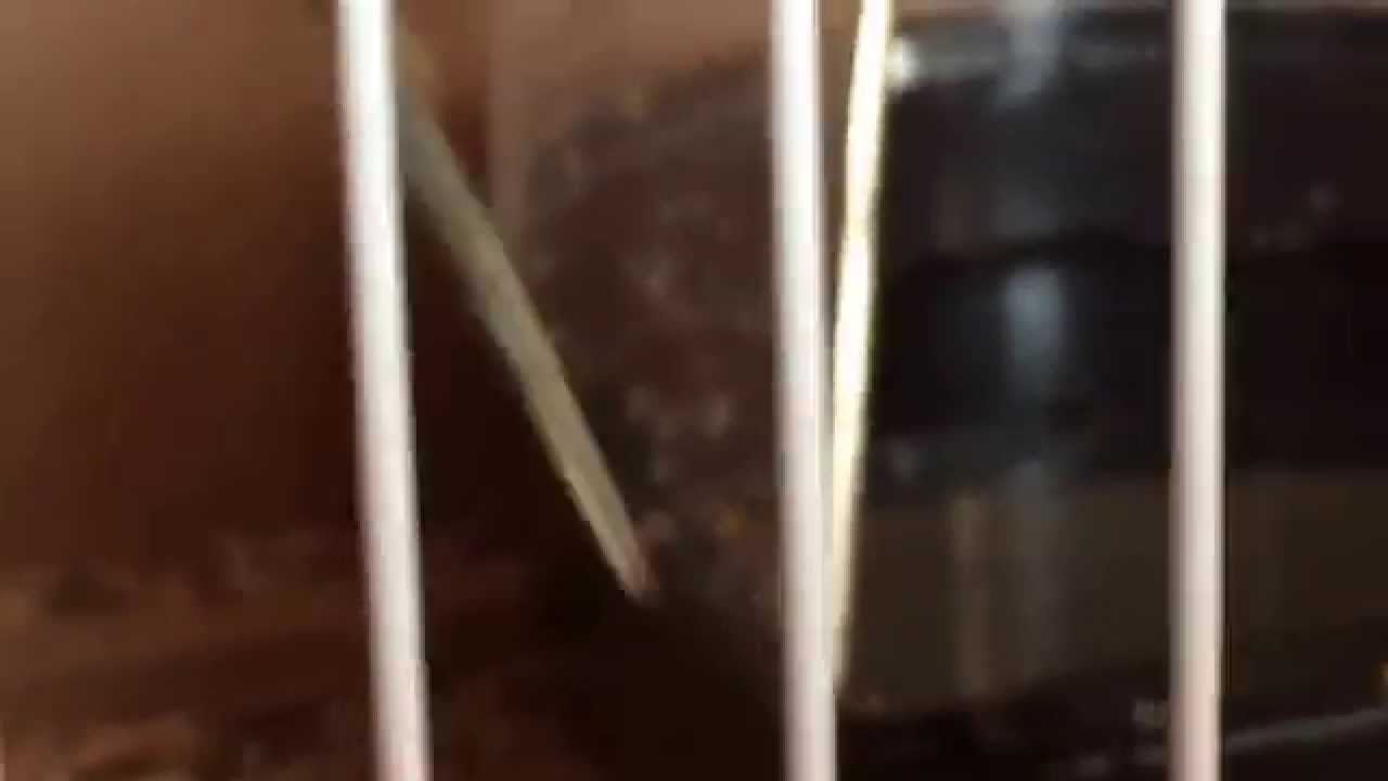 Oct 8, 2015 - YouTube