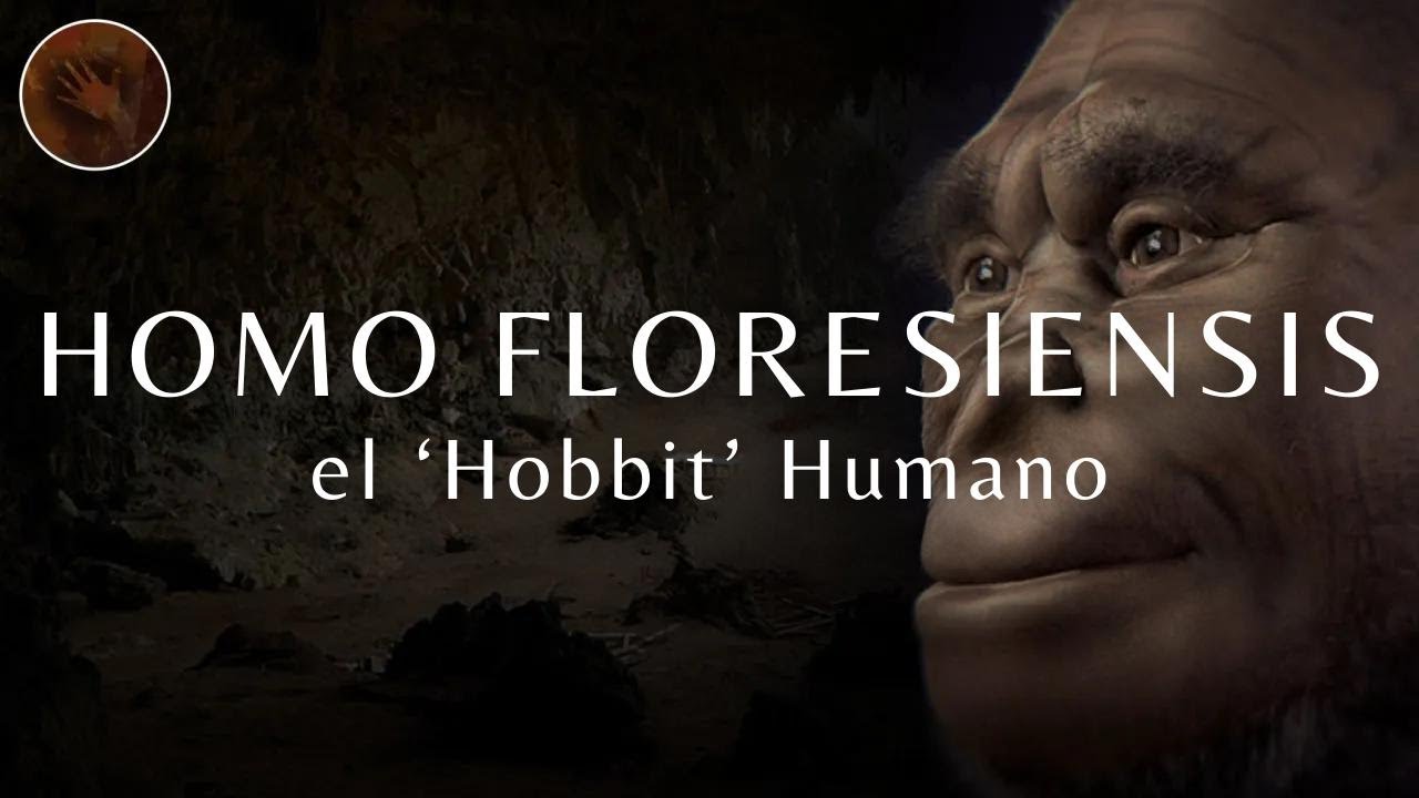 Homo Floresiensis: El "Hobbit" real | Documental de humanos ...