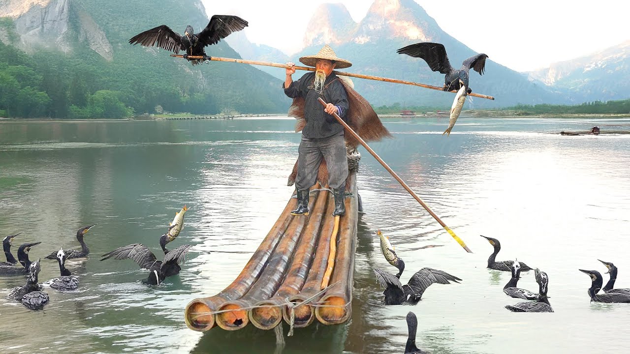 This Old Man Trained Birds to Catch Him Tons of Fish - YouTube