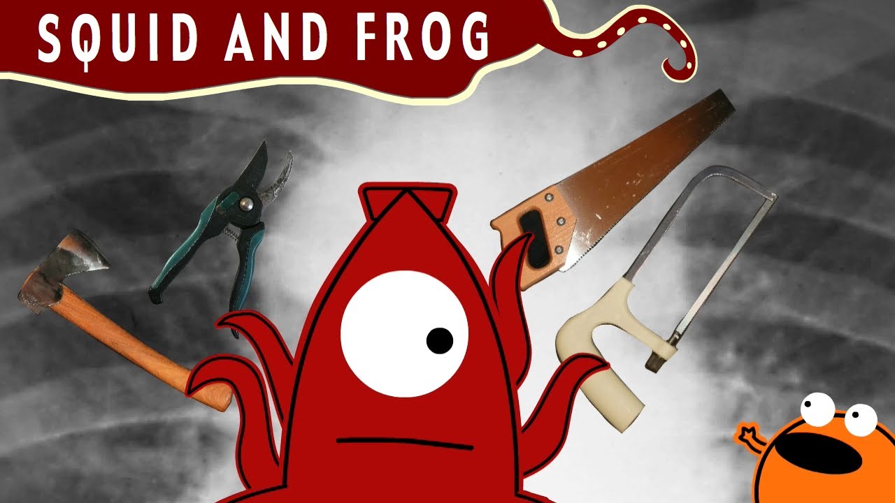 Squid and Frog: Surgery - YouTube