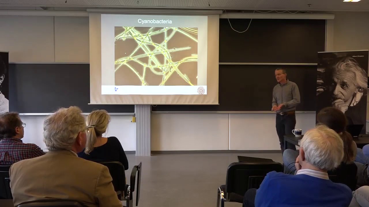 Atmospheric Oxygen & Biological Evolution - Donald E. Canfield - YouTube