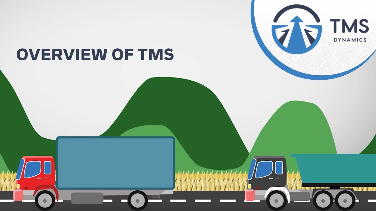 TMS Dynamics System Overview - YouTube