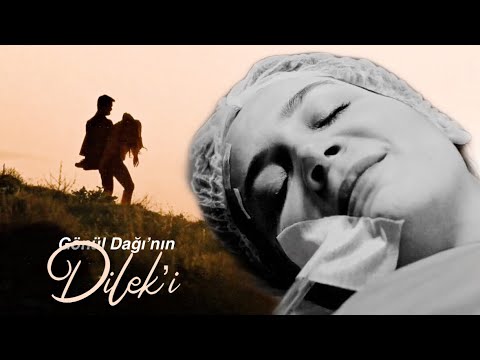 Gönül Dağı Dilek’in Ölümü | Kül