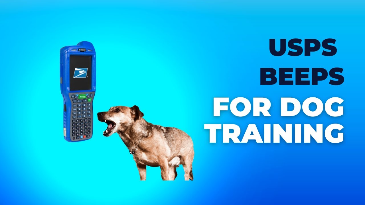 USPS Beeps - Dog Desensitization Training - YouTube