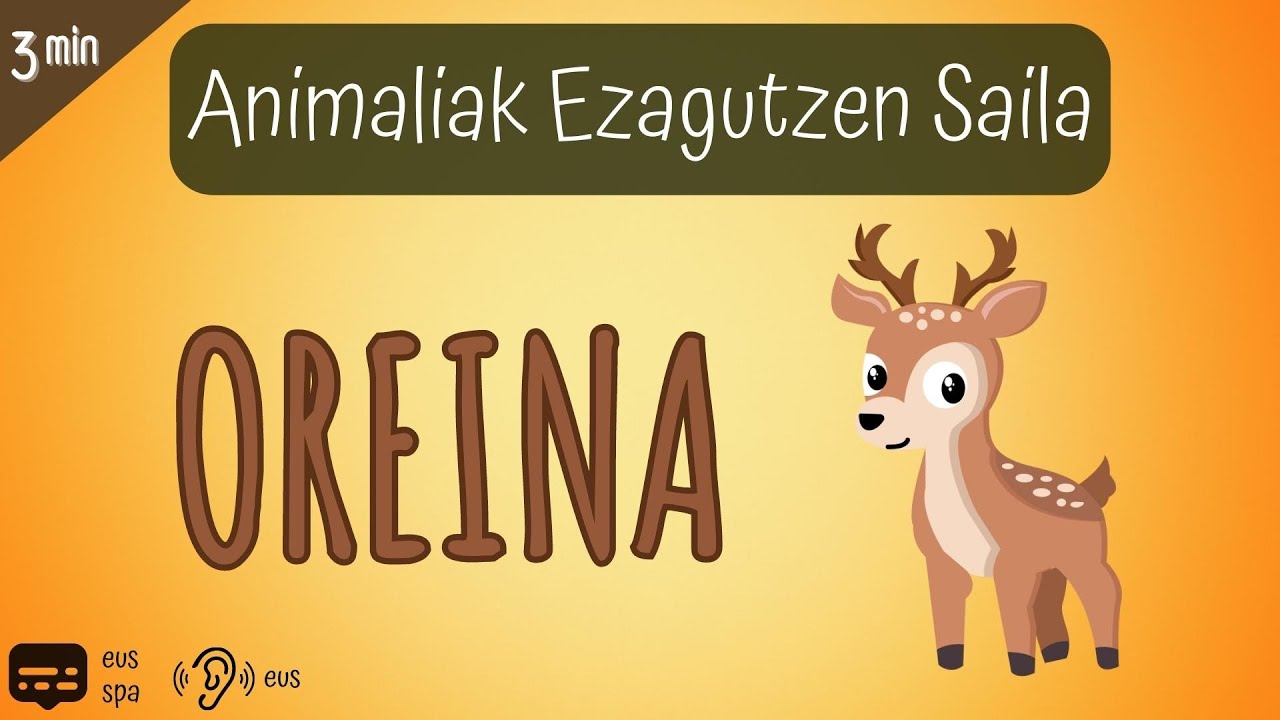 Animaliak 5x03 OREINA | Basoko Animaliak | Ugaztunak - YouTube