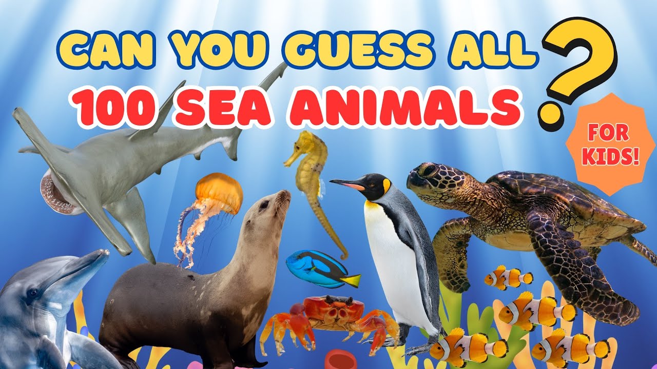 Can You Guess All 100 Sea Animals? 🐙 Fun Quiz for Kids & Toddlers ...