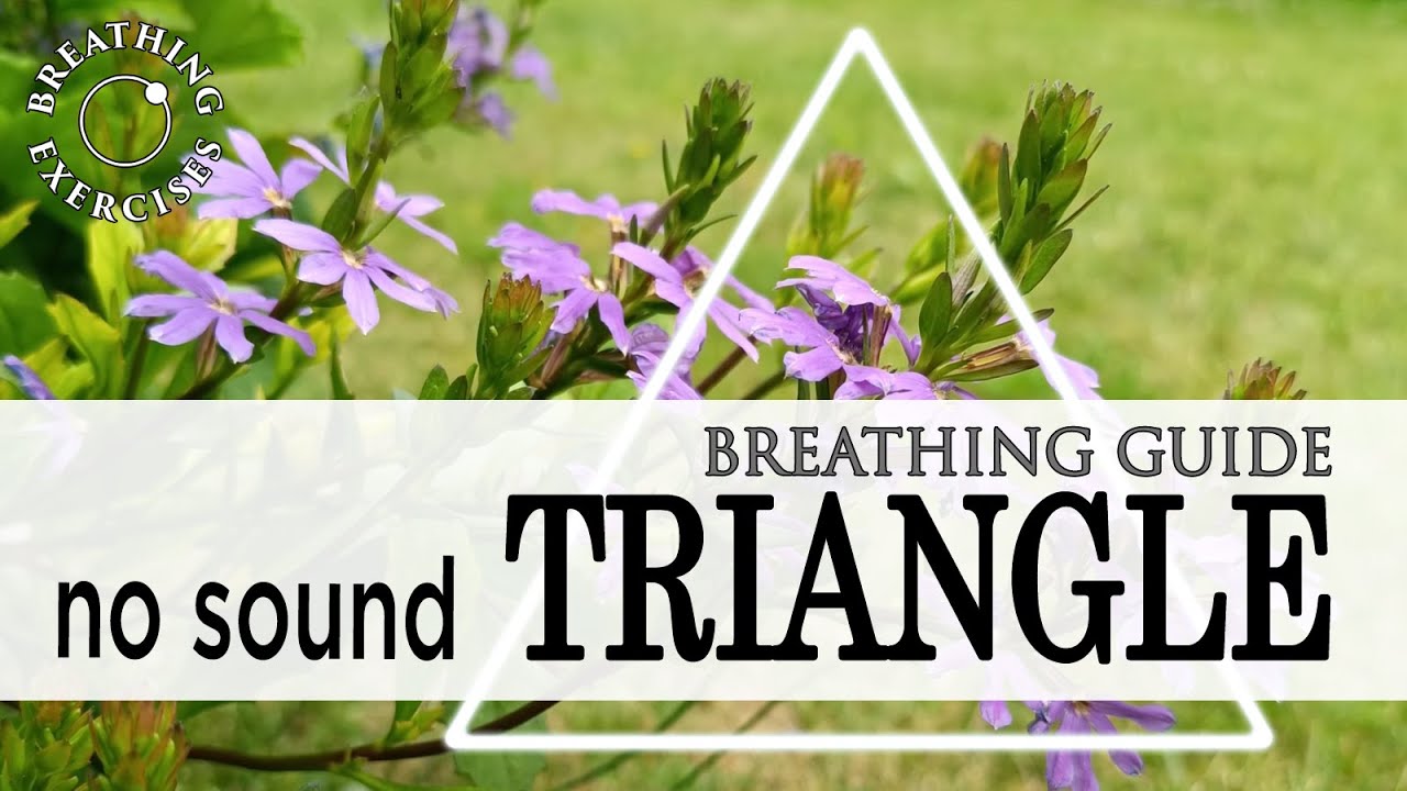 no sound TRIANGLE | Breathwork - YouTube