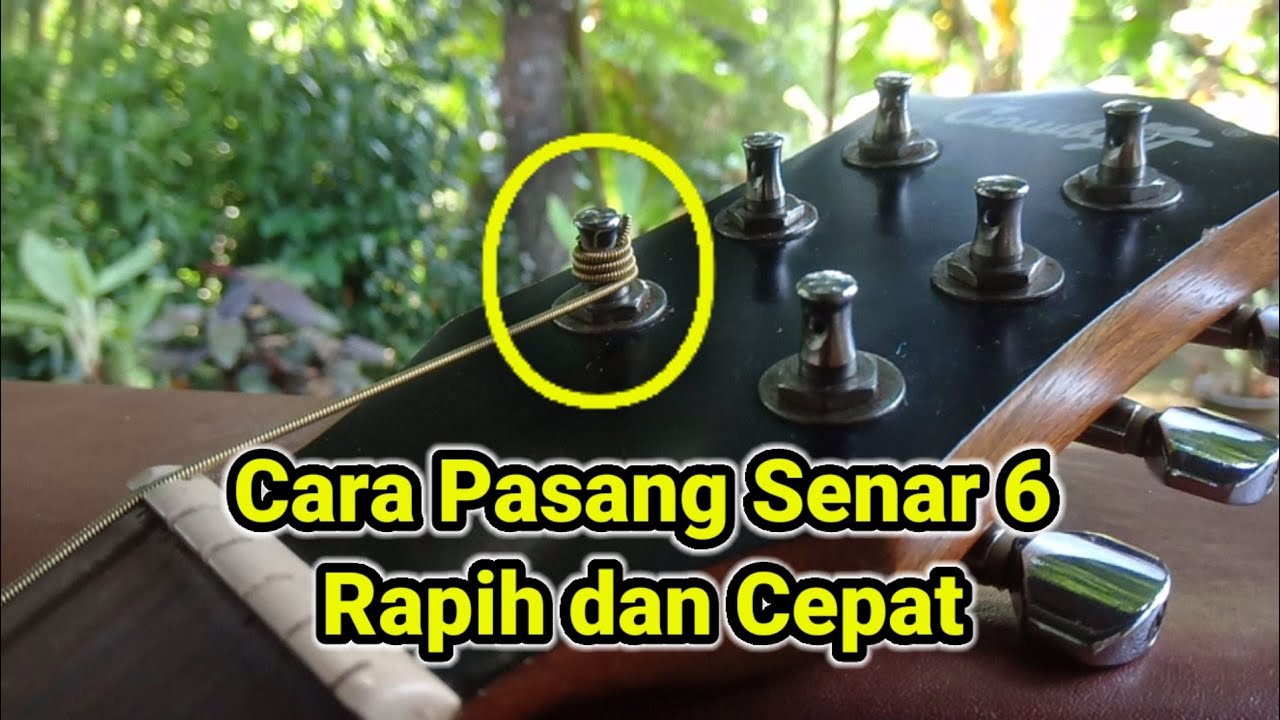 Cara pasang senar 6 Tapi dan cepat @irwanfauna - YouTube