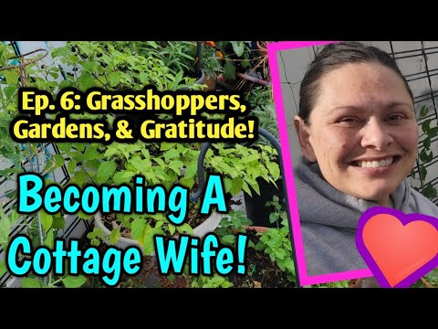 Cottage Wife Life #6: Fall Garden, Gratitude, And Grasshoppers! Julie ...