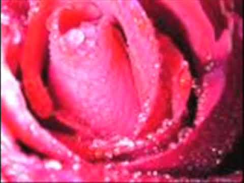 Sedat Uçan-Allah'ım İlahisi