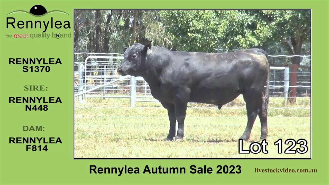 Lot 123 Rennylea March 2023 - YouTube