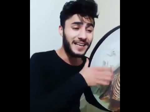 Baran Bari keç meyro