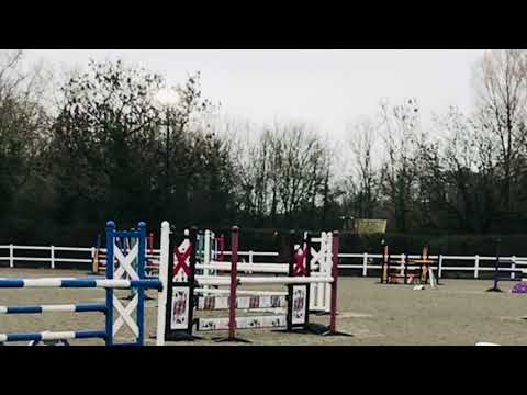 C Bonita 110cm young horse amateur final qualifier -3rd