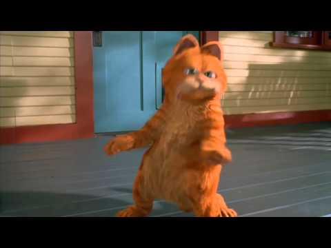Garfield Dans - Alarko Carrier