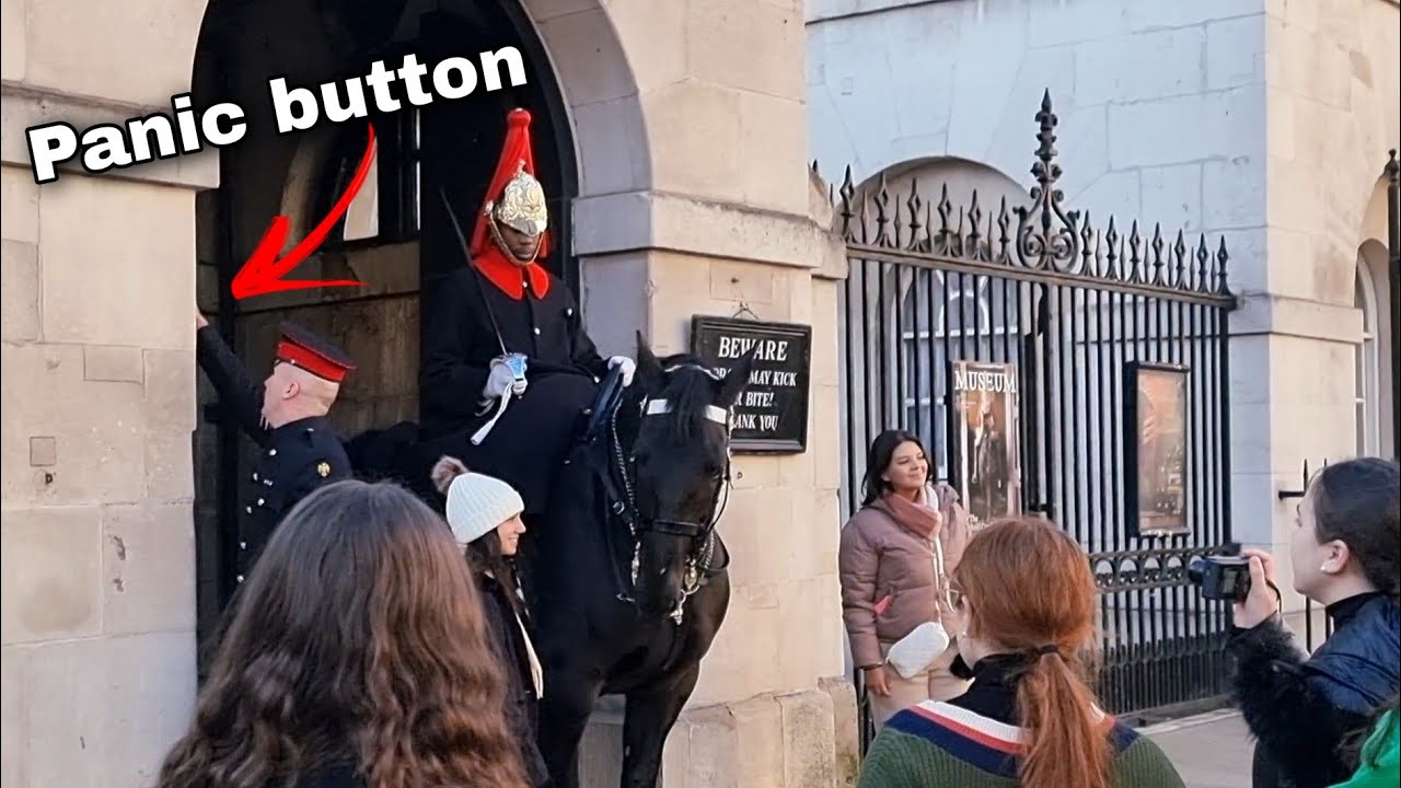 "Big Boss" Checks the Panic Button! - YouTube