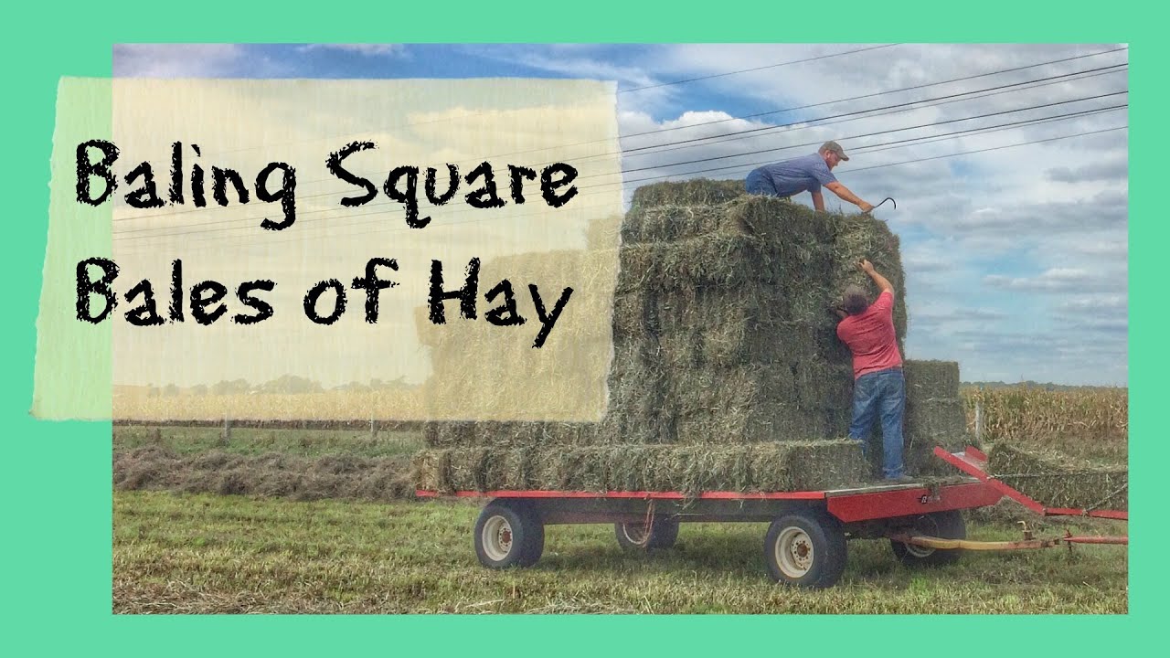 baling square bales hay - YouTube