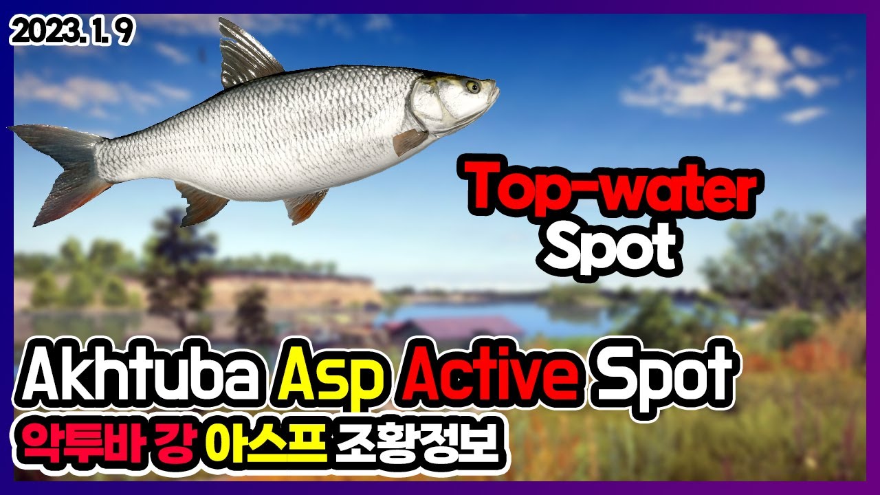 230109 악투바 강 아스프 조황정보 l 러시안피싱4 Russian Fishing 4 RF4 Akhtuba River Asp ...