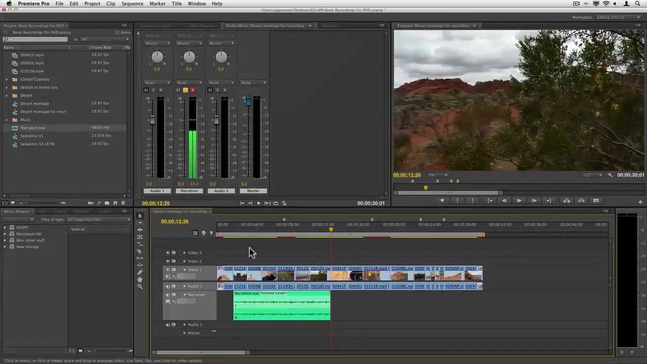 Recording a Narration Track in Adobe Premiere Pro - YouTube